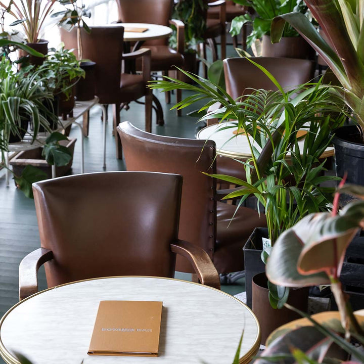 Botanik Bar and Bottle Shop Kyneton – Botanik Bar Kyneton